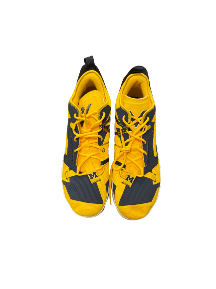 Austin Davis Michigan Basketball Player Exclusive Shoes (Size 17) – The ...